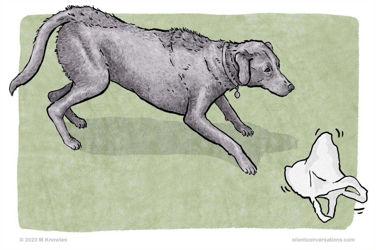 'Raised Hackles' or Piloerection - Dog Body Language - Silent Conversations